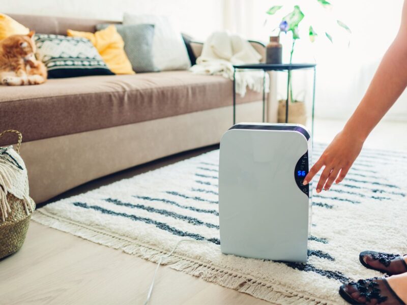 The best basement dehumidifier for you in 2022 | HVAC.com